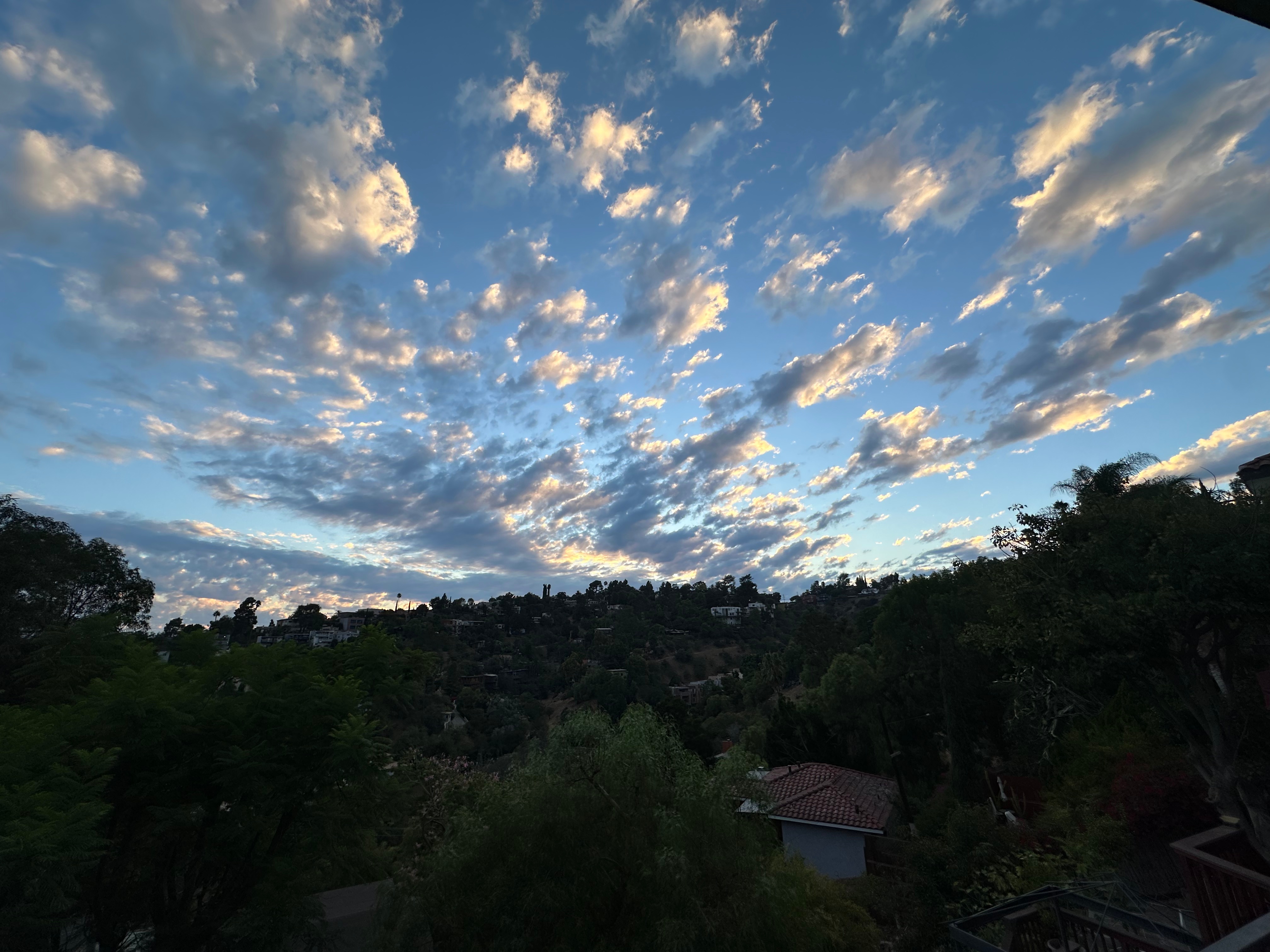 2025 annual not so bad not so good News Letter from Me (Cyndy). – P-Nut ...
